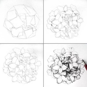 How to draw a cluster of flowers – step by step – Alina Lupu