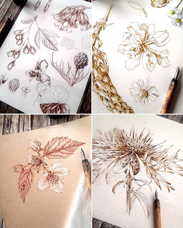 Drawing with Dip Pen and Ink. Materials – Alina Lupu